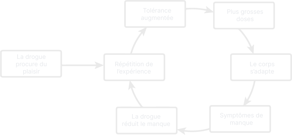 L’addiction – DRUGZ